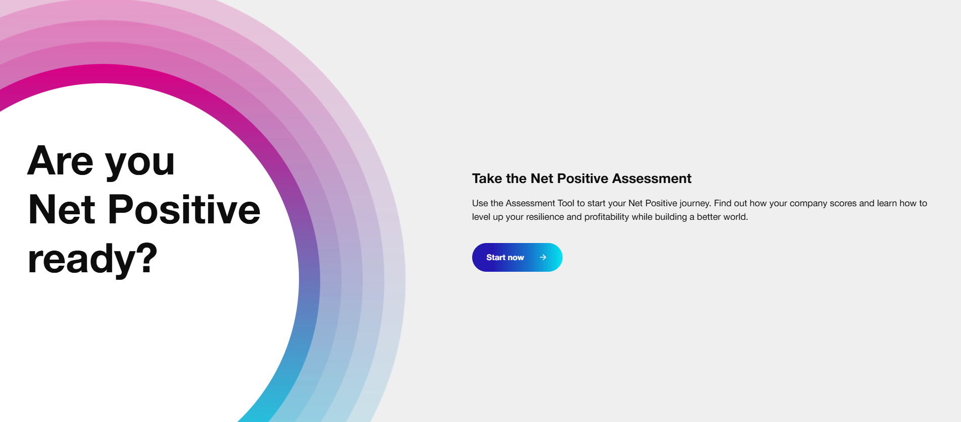 Assessment tool | Advancing net positive